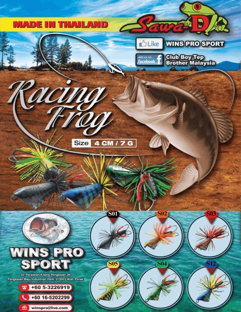 Sawa-D Racing Frog - Sawa-D
